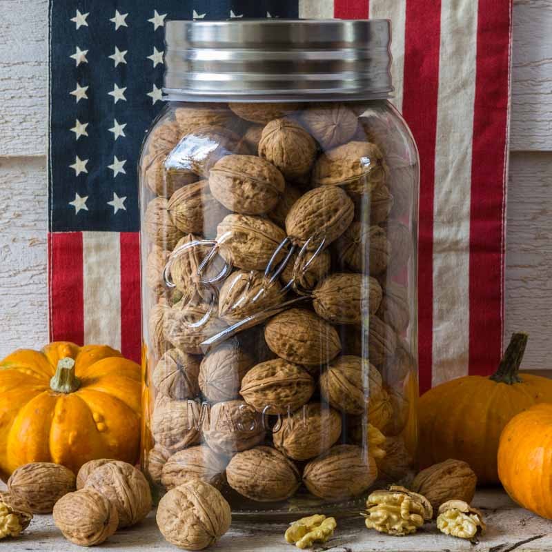 MASON JAR 1 GALLON MADE IN USA⎟ MASON JAR BALL⎟ LE COMPTOIR AMERICAIN