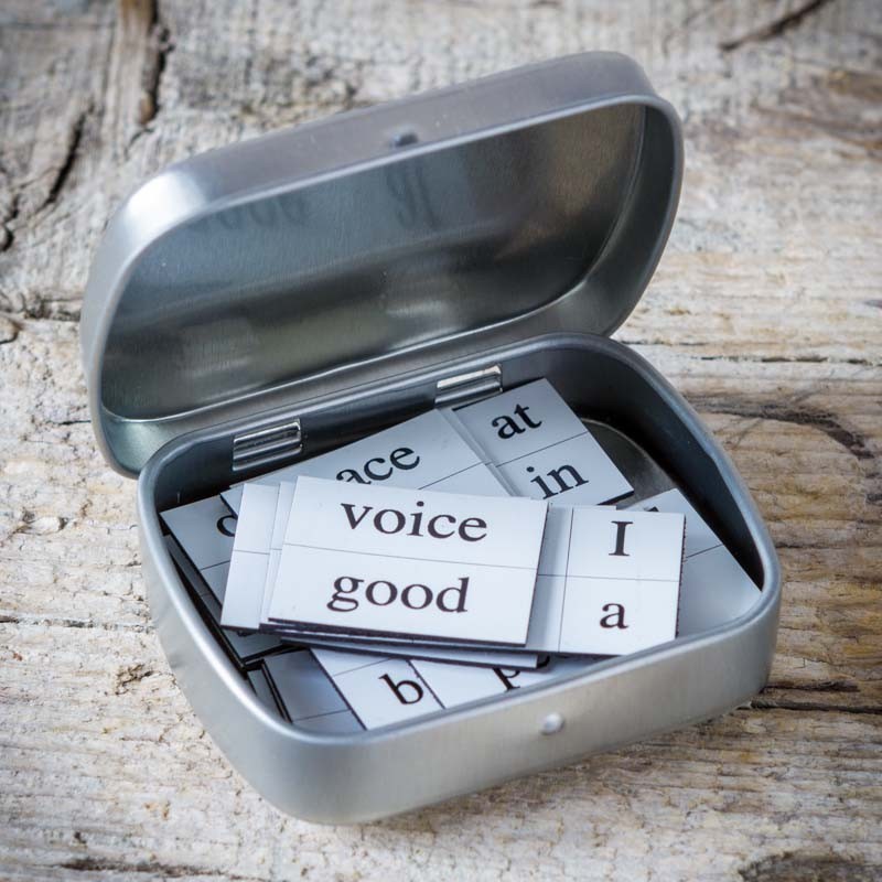 WORD MAGNETS MADE IN USA ⎜MAGNETIC POETRY ⎜LE COMPTOIR AMERICAIN