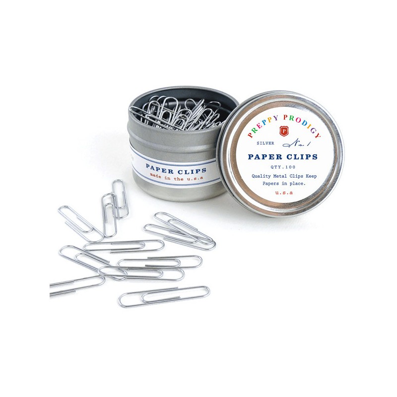 Paper clips - Box of 100 ⎟ lecomptoiramericain