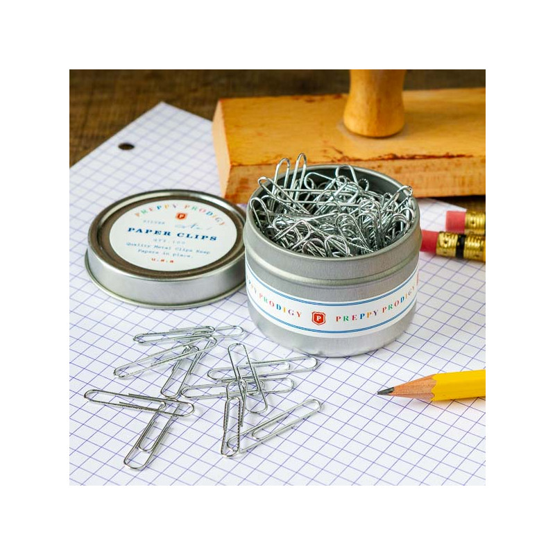 Paper clips - Box of 100 ⎟ lecomptoiramericain